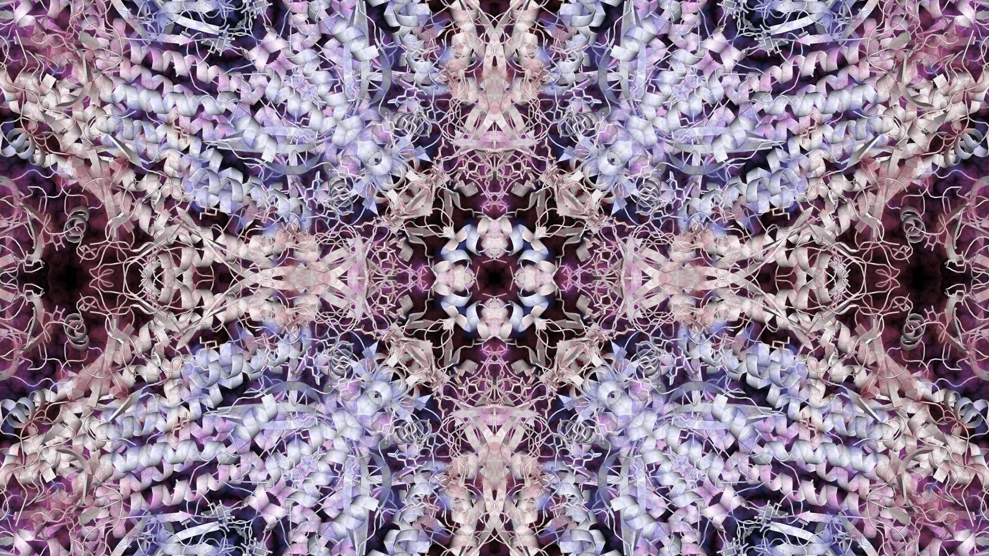 Laura Splan: Artist, Speaker, Collaborator | Art + Science + Technology