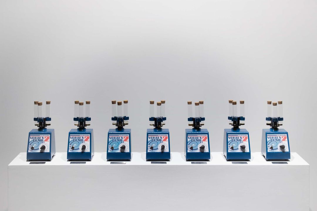 Laura Splan: Artist, Speaker, Collaborator | Art + Science + Technology