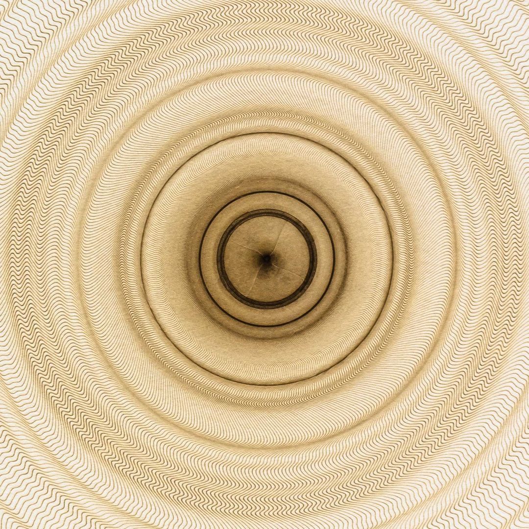 Laura Splan: Artist, Speaker, Collaborator | Art + Science + Technology