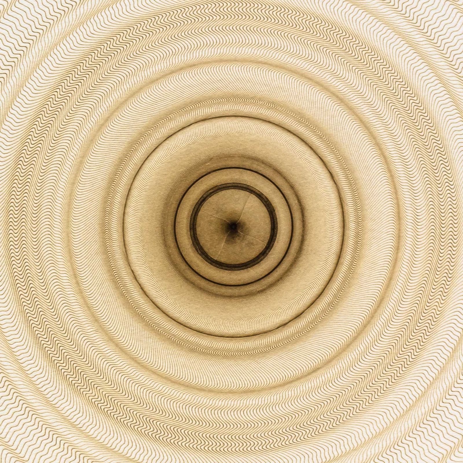 Laura Splan: Artist, Speaker, Collaborator | Art + Science + Technology