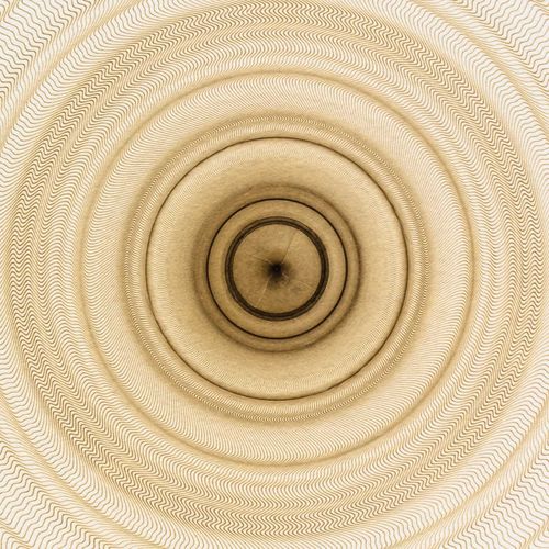 Laura Splan: Artist, Speaker, Collaborator | Art + Science + Technology