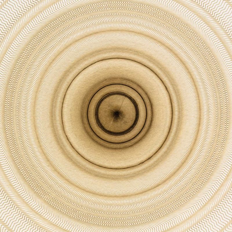 Laura Splan: Artist, Speaker, Collaborator | Art + Science + Technology