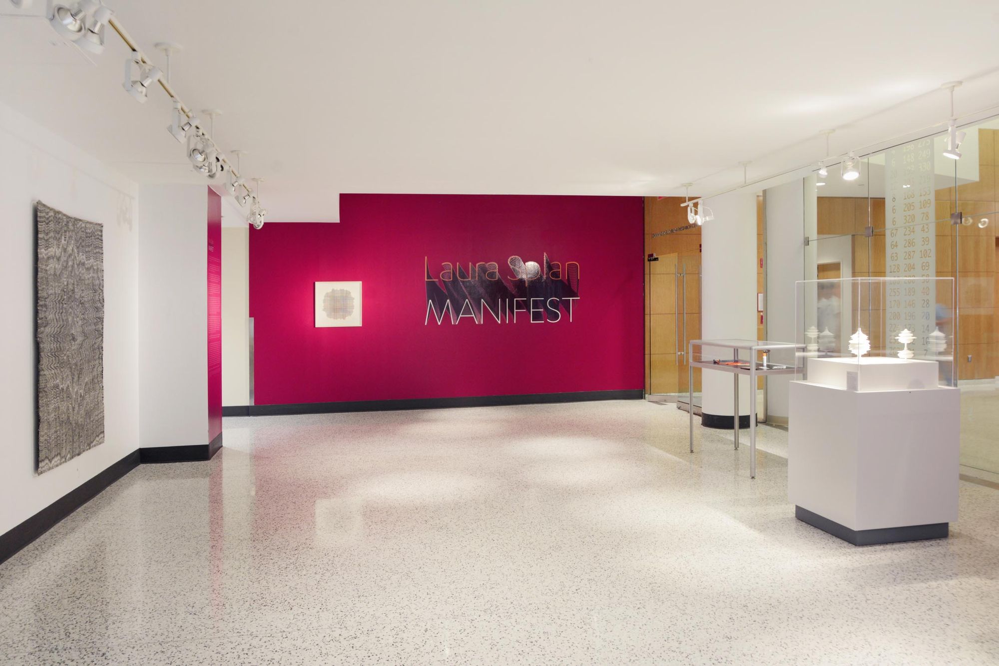 Manifest at NYU Langone Art Gallery • Laura Splan