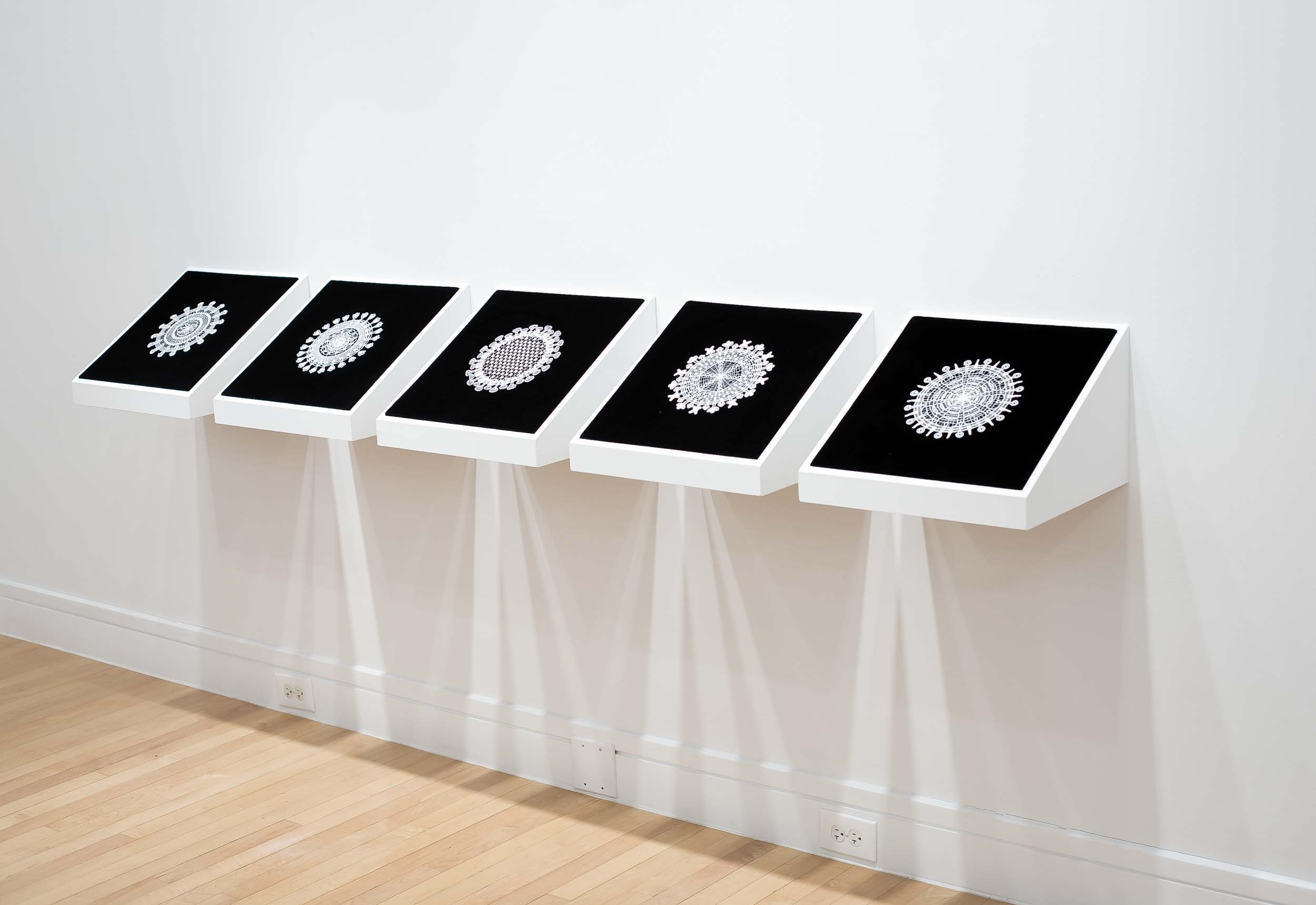 Doilies (SARS, HIV, Influenza, Herpes, Hepadna) • Laura Splan