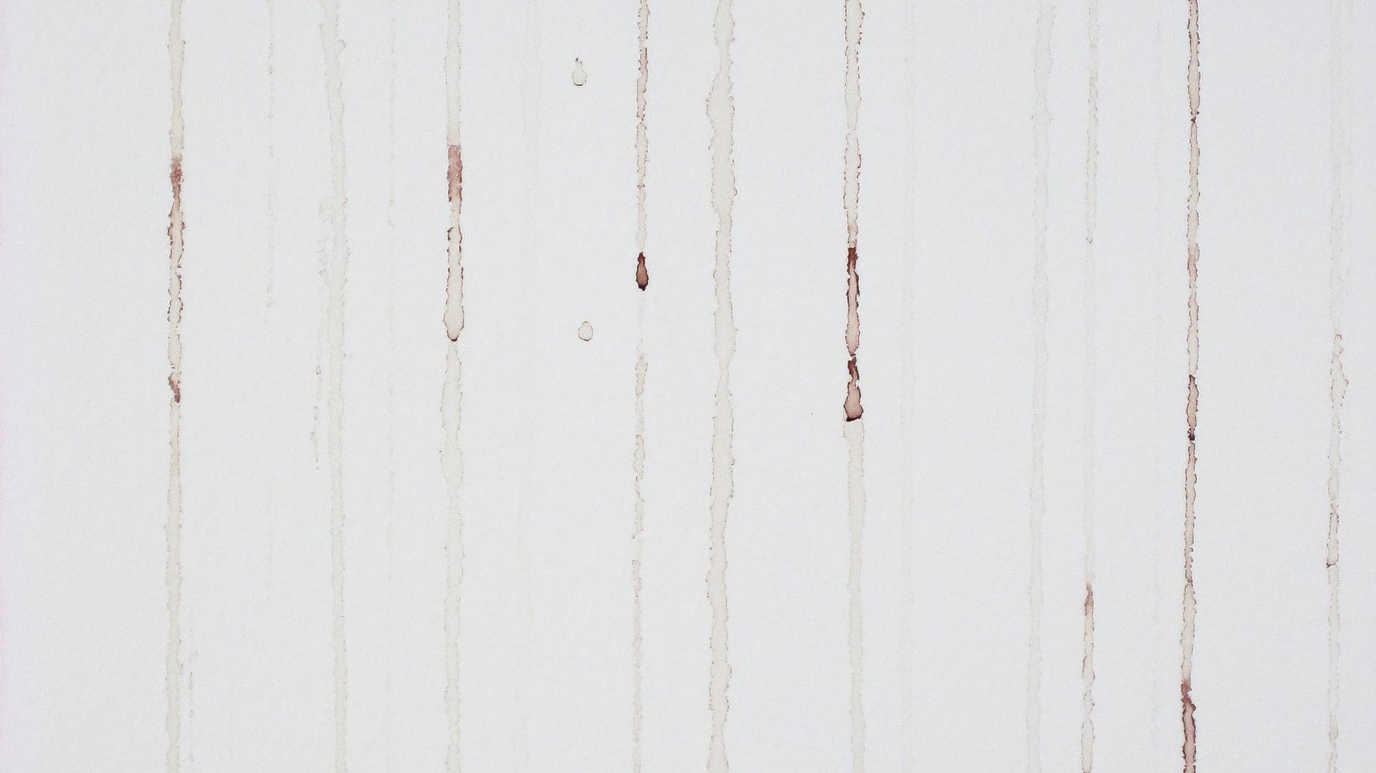 Gravity • Laura Splan