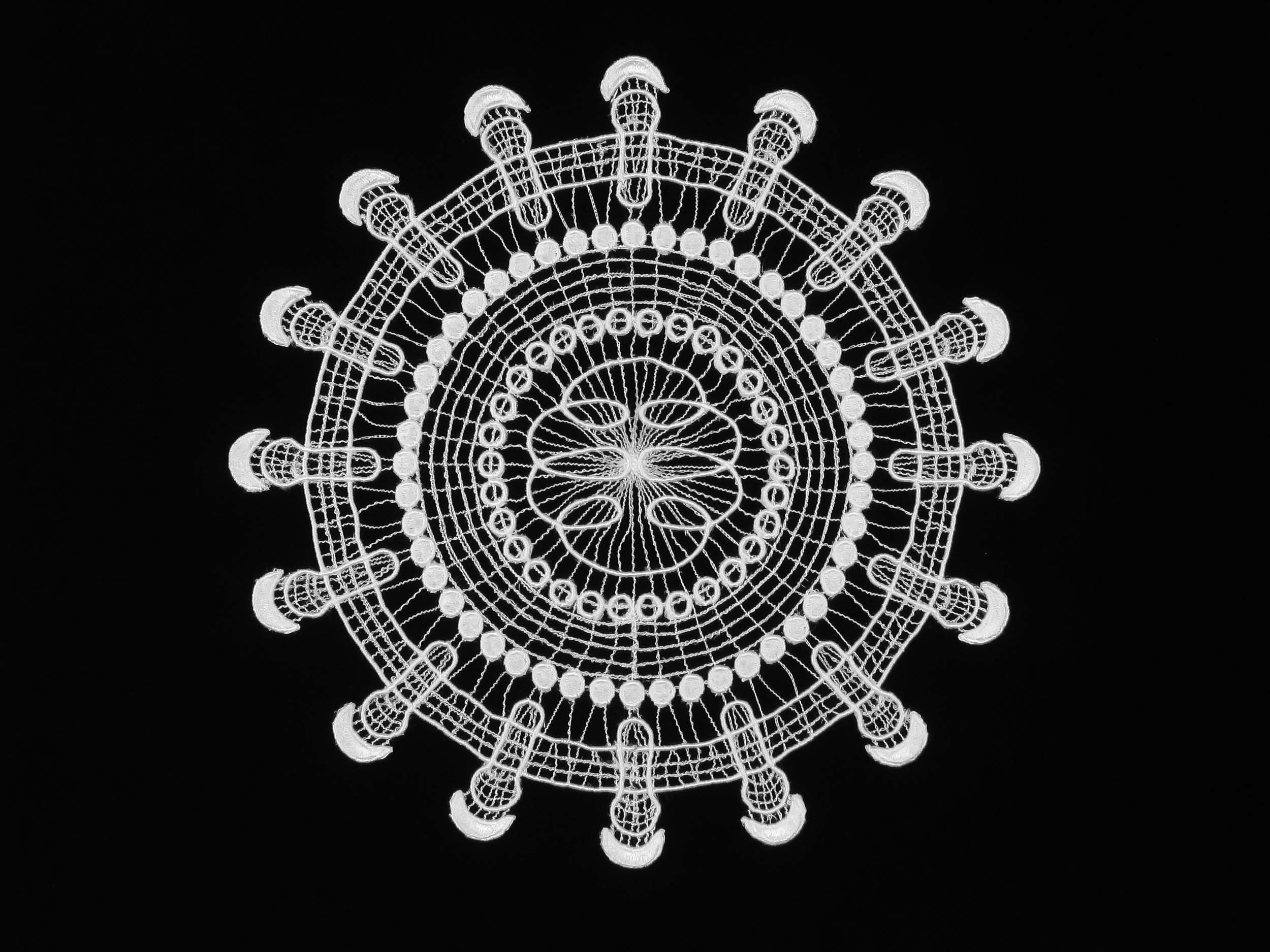 Doilies (SARS, HIV, Influenza, Herpes, Hepadna) • Laura Splan