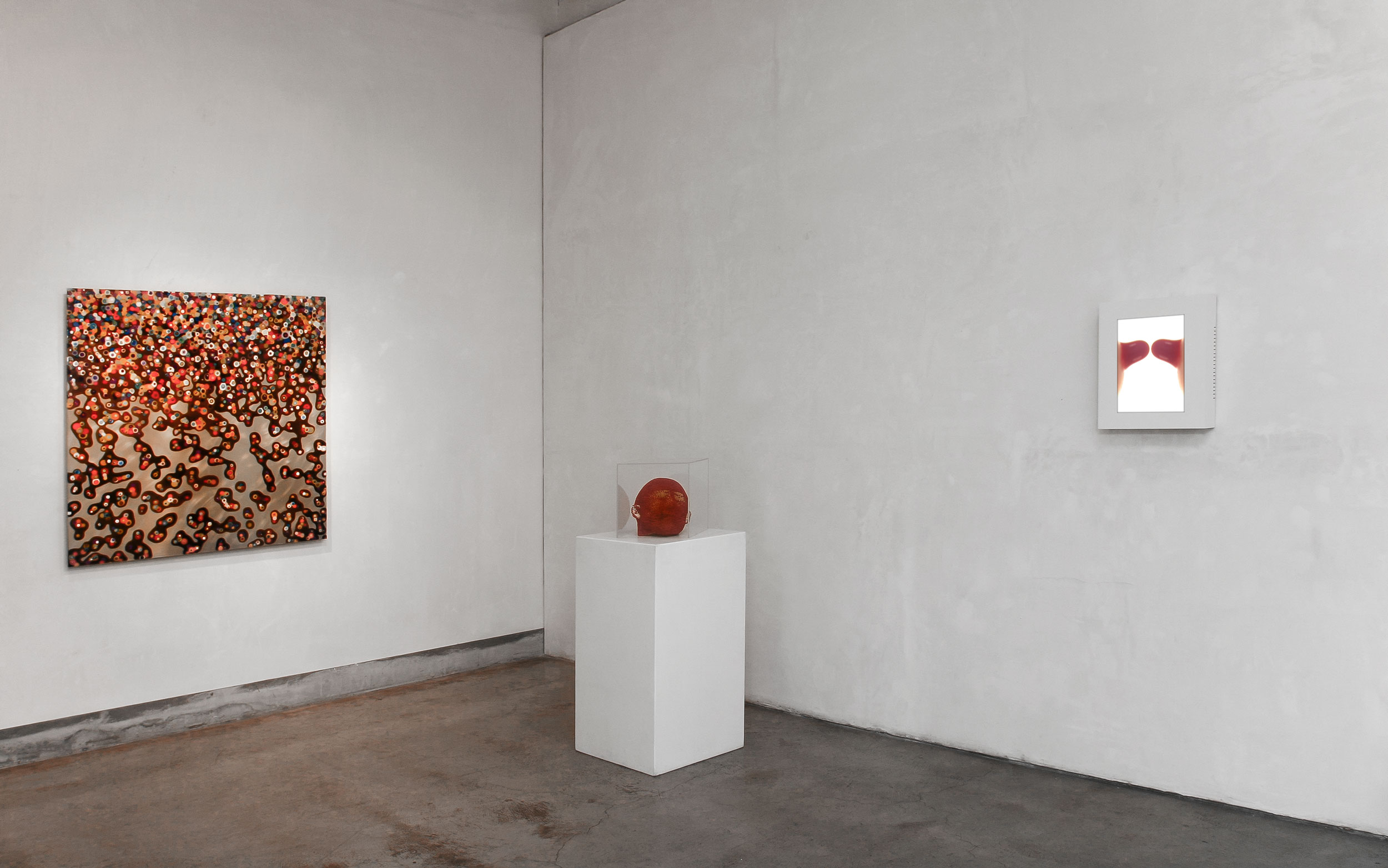 Trepidation • Laura Splan