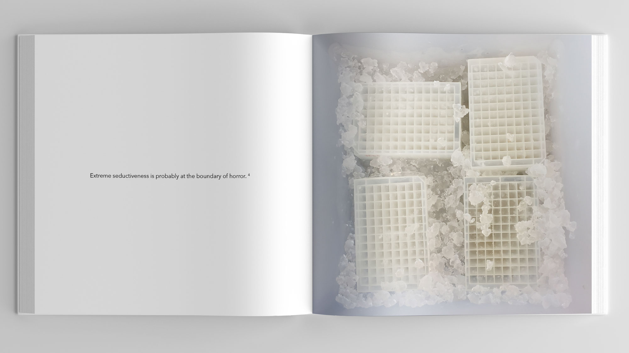 Creating Artist Books, Zines, Catalogs with Adobe InDesign • Laura Splan