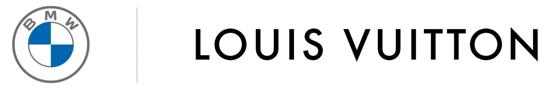 Discover The Ultimate Guide to Dual Branding | Swag Hut