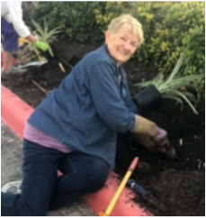 Getting their Hands Dirty