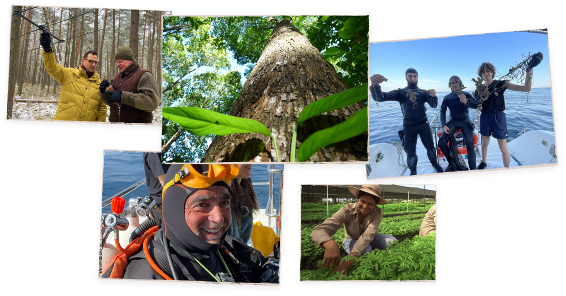 About Us · Planet Wild