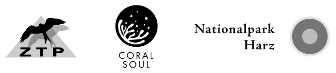 Restoring the planet, one mission at a time · Planet Wild