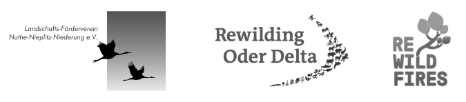 Restoring the planet, one mission at a time · Planet Wild