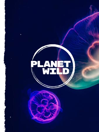 Rewilding and Environmental Impact Gift · Planet Wild