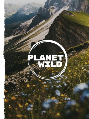 Rewilding and Environmental Impact Gift · Planet Wild