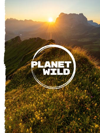 Rewilding and Environmental Impact Gift · Planet Wild