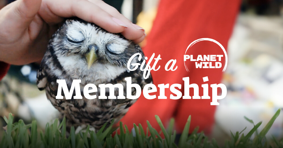 Rewilding and Environmental Impact Gift · Planet Wild