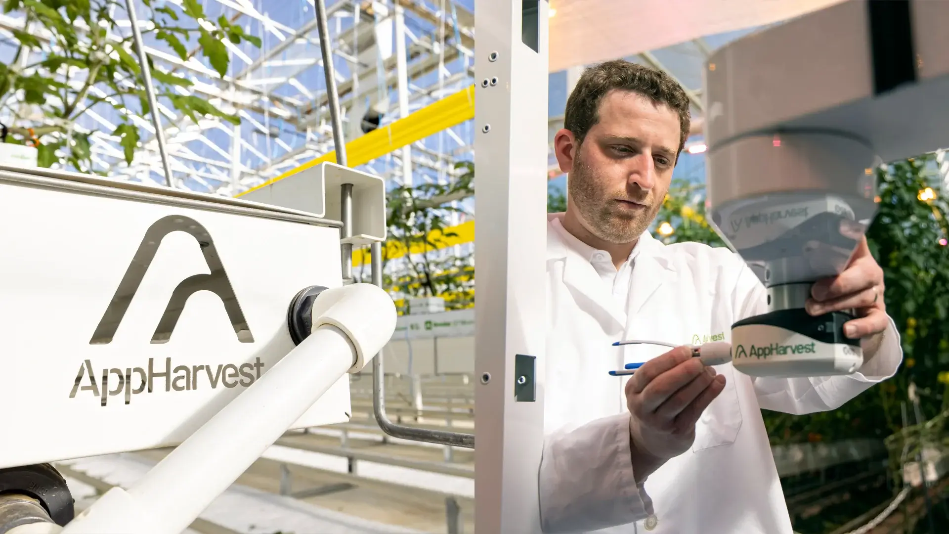 Bullhorn Creative — AppHarvest