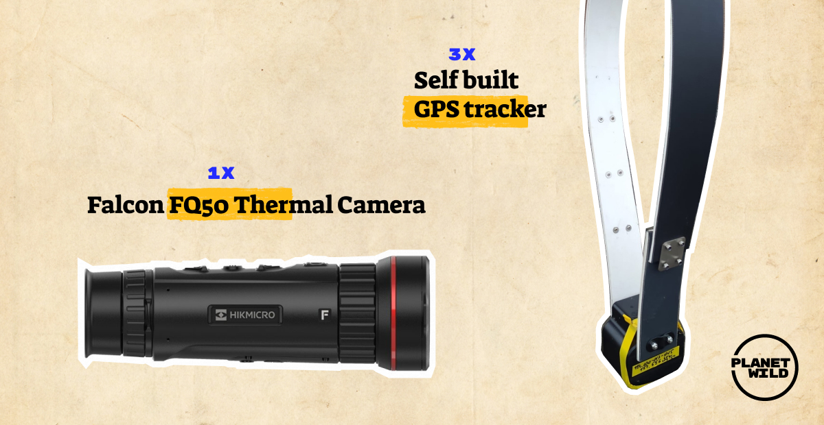 We helping bring the bison back to Europe · Planet Wild