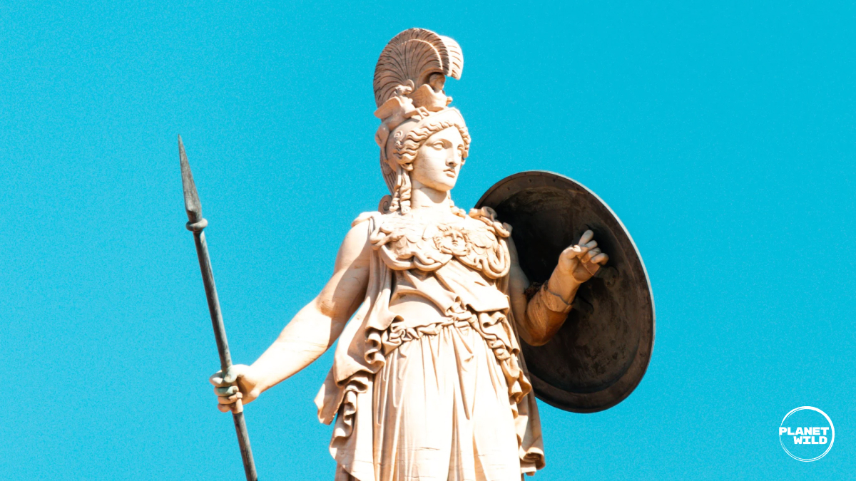 The Little Owl: Europe’s Most Adorable Bird · Planet Wild