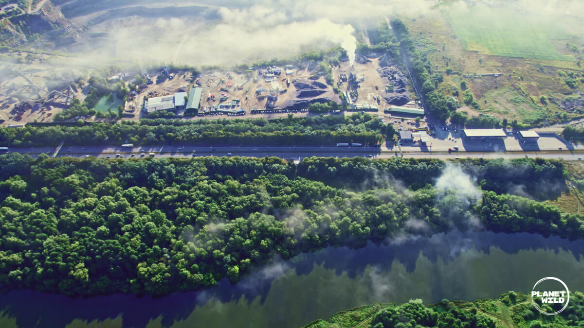 How we’re reviving a poisoned river · Planet Wild