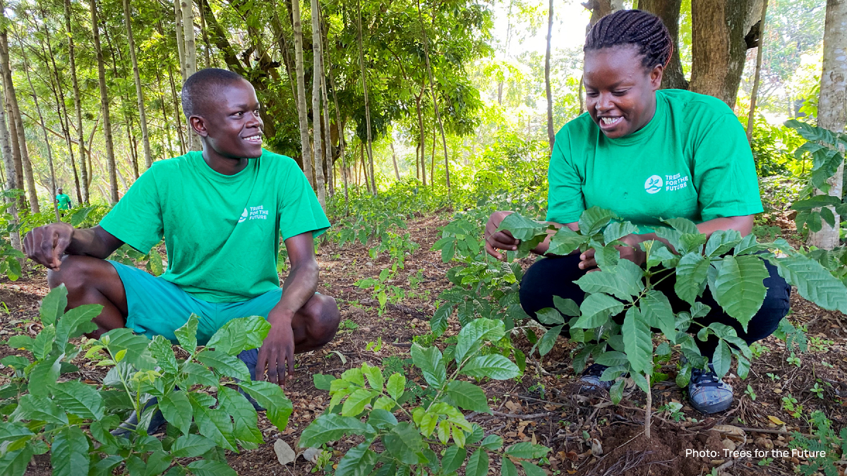 Africa's ambitious Great Green Wall Initiative · Planet Wild