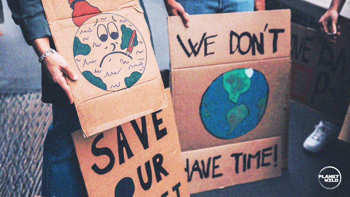 Earth Day 2024 Explained! History, Impact & More · Planet Wild