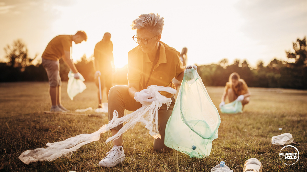 Earth Day 2024 Explained! History, Impact & More · Planet Wild