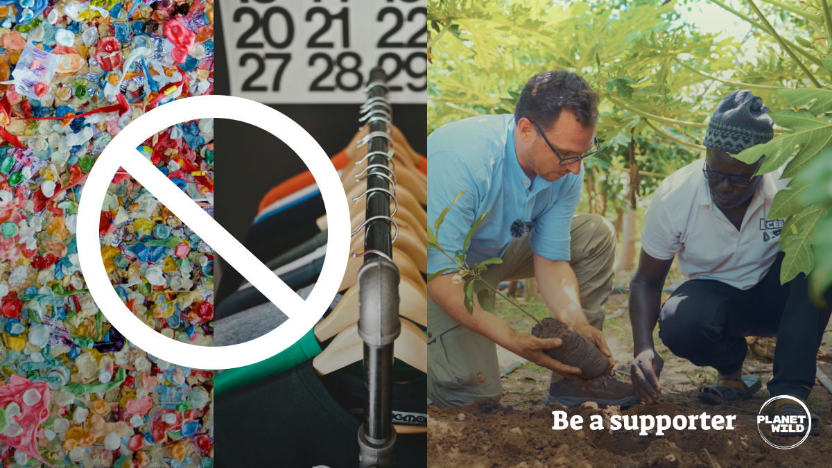 Earth Day 2024 Explained! History, Impact & More · Planet Wild