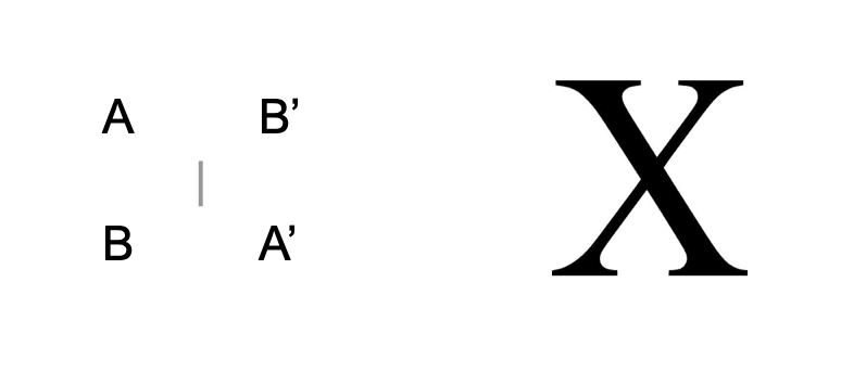The Cosmic Chiasmus - The Symbolic World