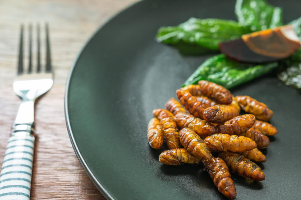 Insetos comestíveis: uma alternativa alimentar para o futuro?