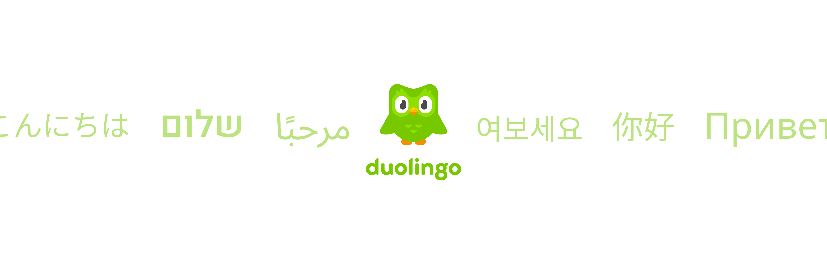 Duolingo Usability Study