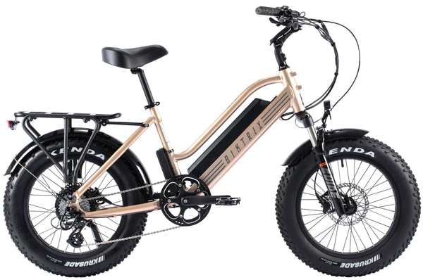 E-Bike 2024 Brand Guide: Biktrix