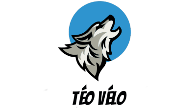 The Best Electric Bike Brands Based in Canada