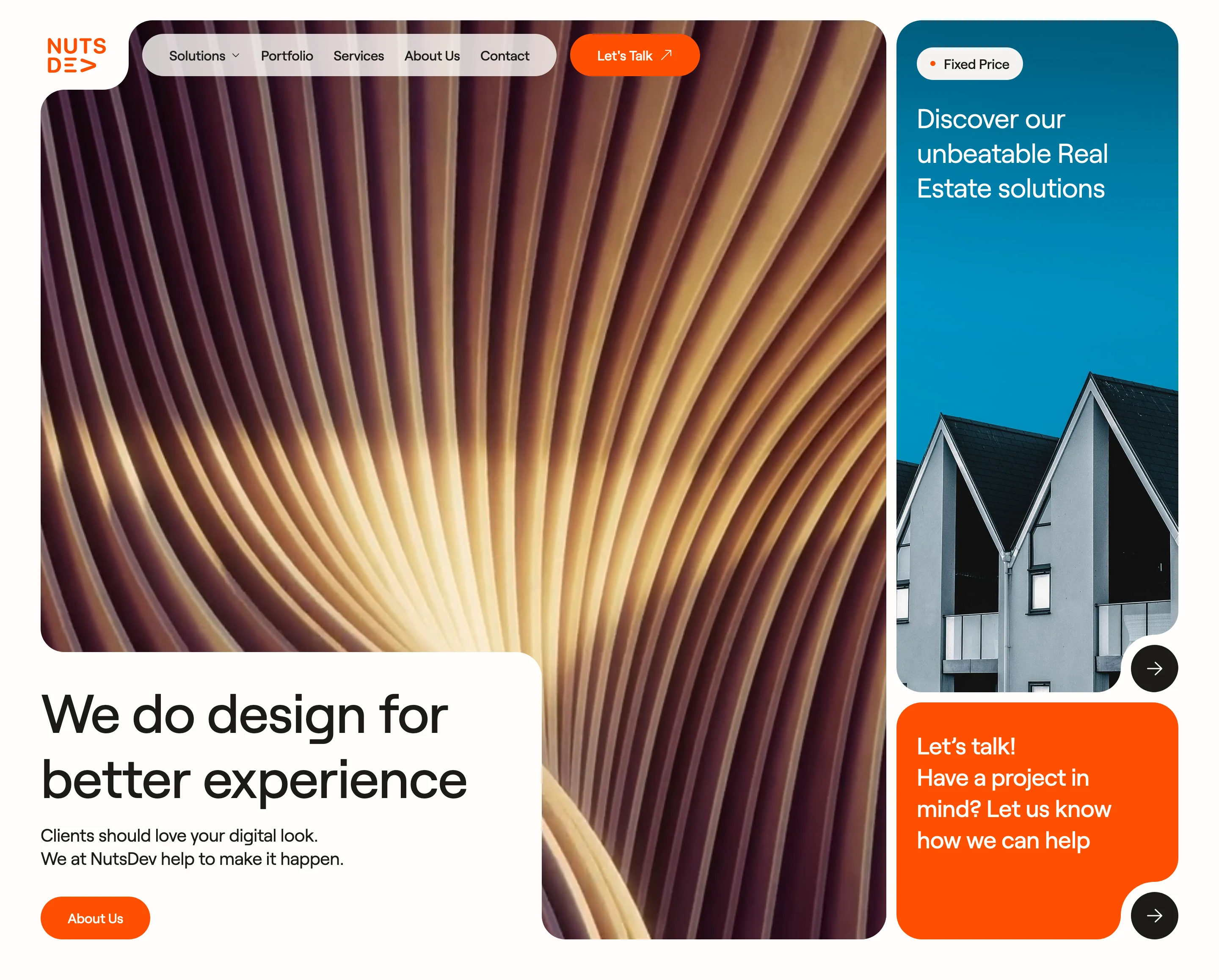Nutsdev Home Page Section Hero | Hero Section Design Design