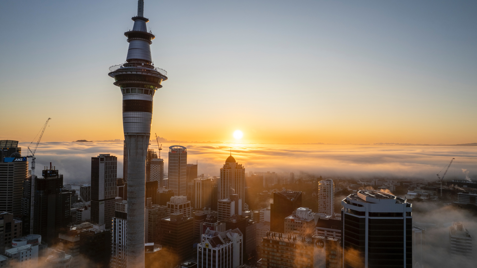 Property Management Services in Central Auckland | The Rent Shop