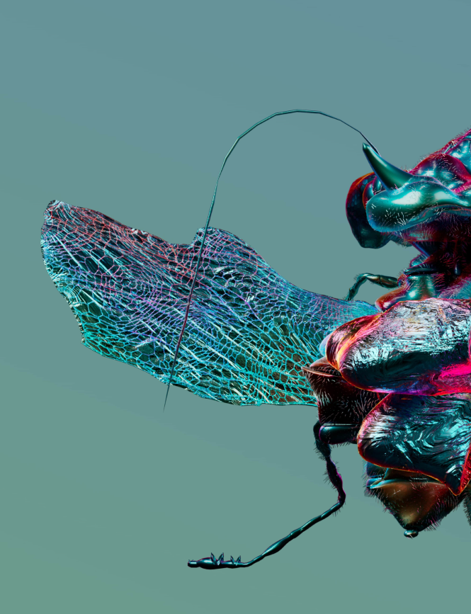 Make waves. Drop on OpenSea.