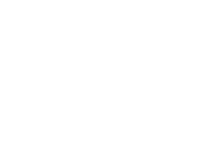 Lord Danger