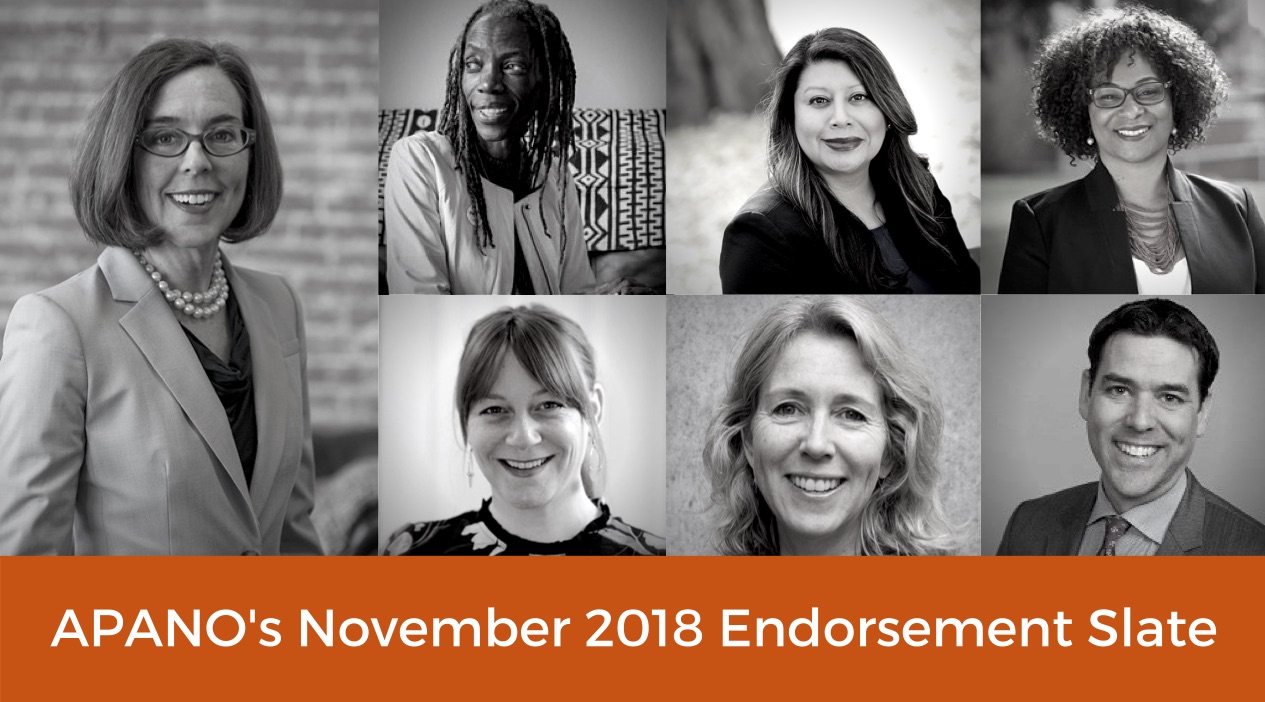 APANO's November 2018 Candidate Slate | APANO