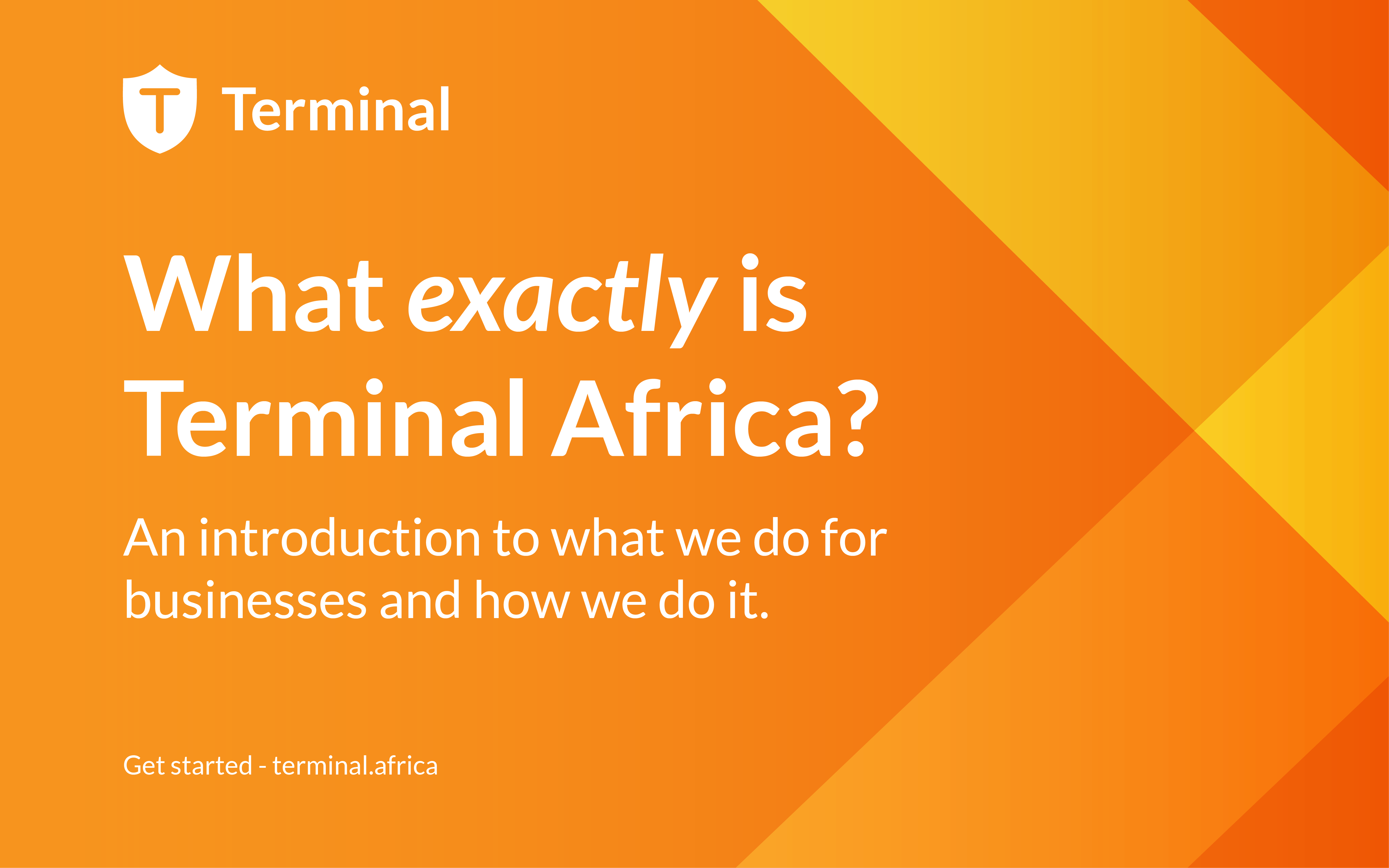 What exactly is Terminal Africa?