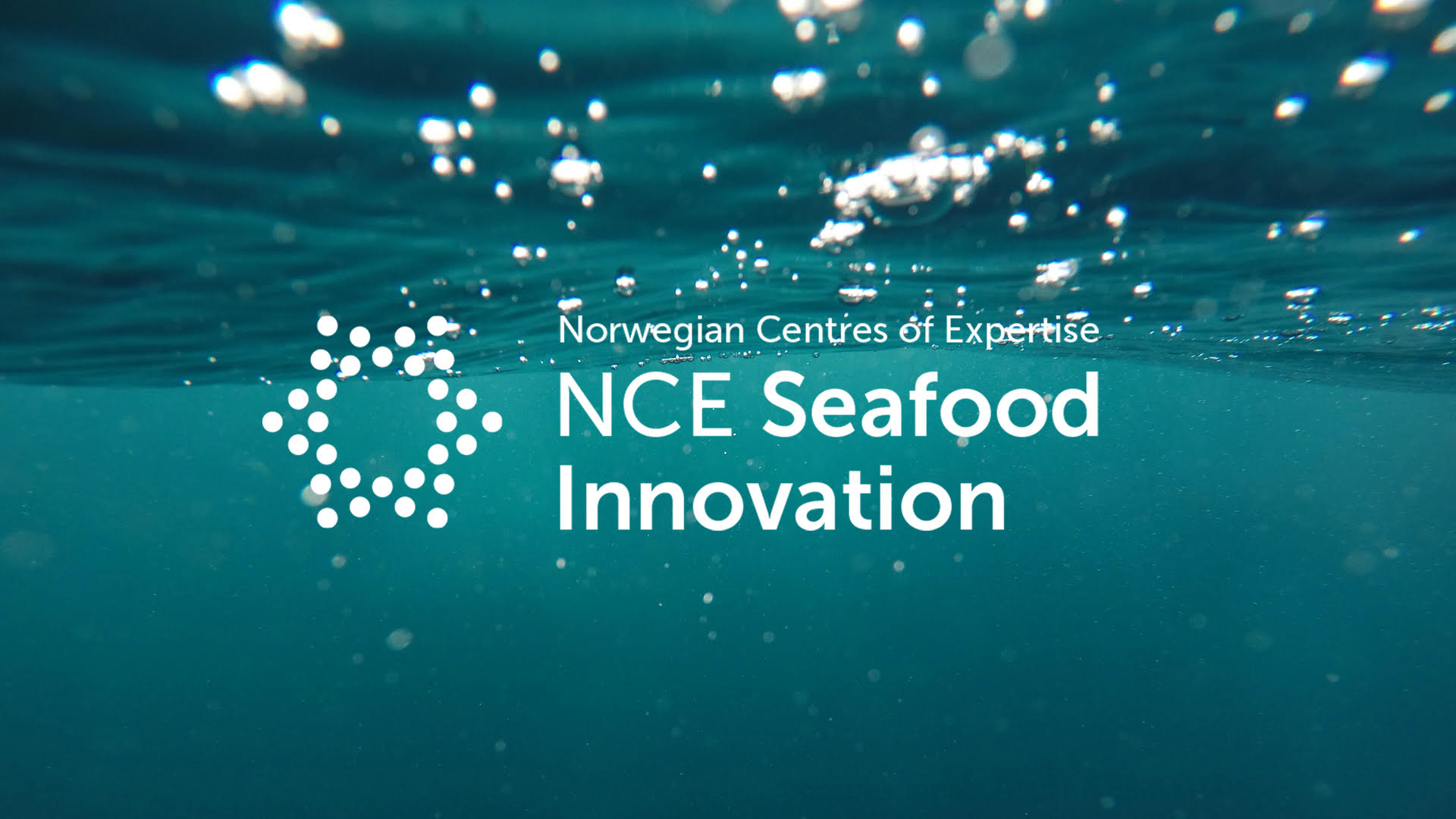 Mannheimer | NCE Seafood Innovation