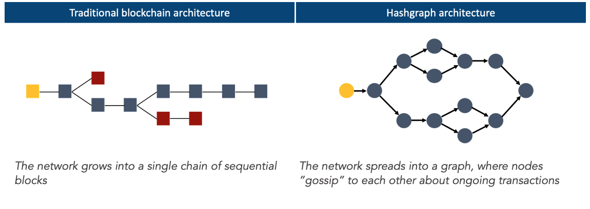 Hedera Hashgraph | CMCC