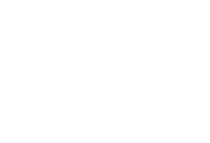 Vocdoni - The voice of digital voting