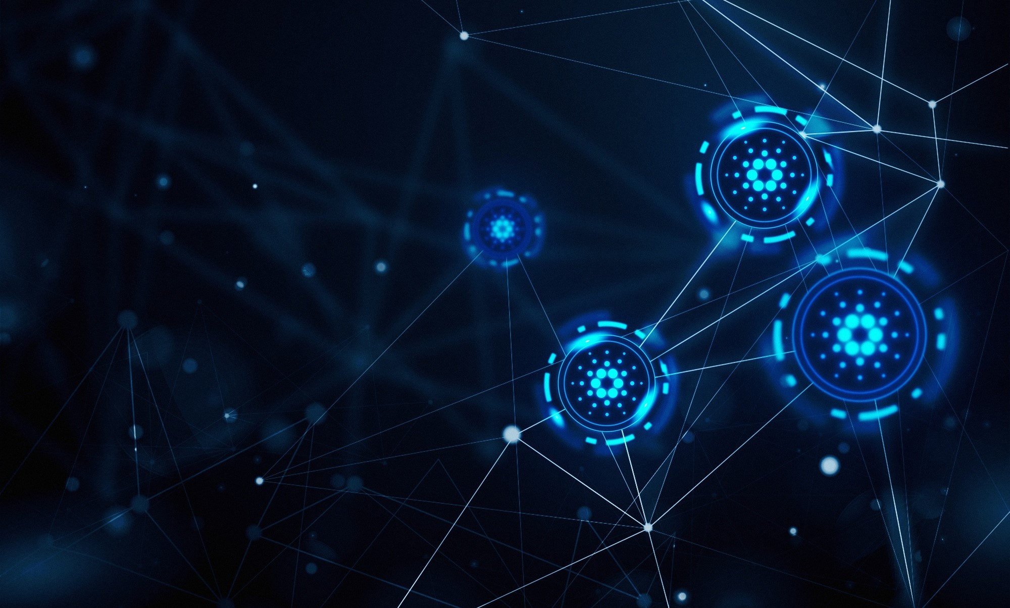 Facts You Need to Know About Blockchain | Zee Palm