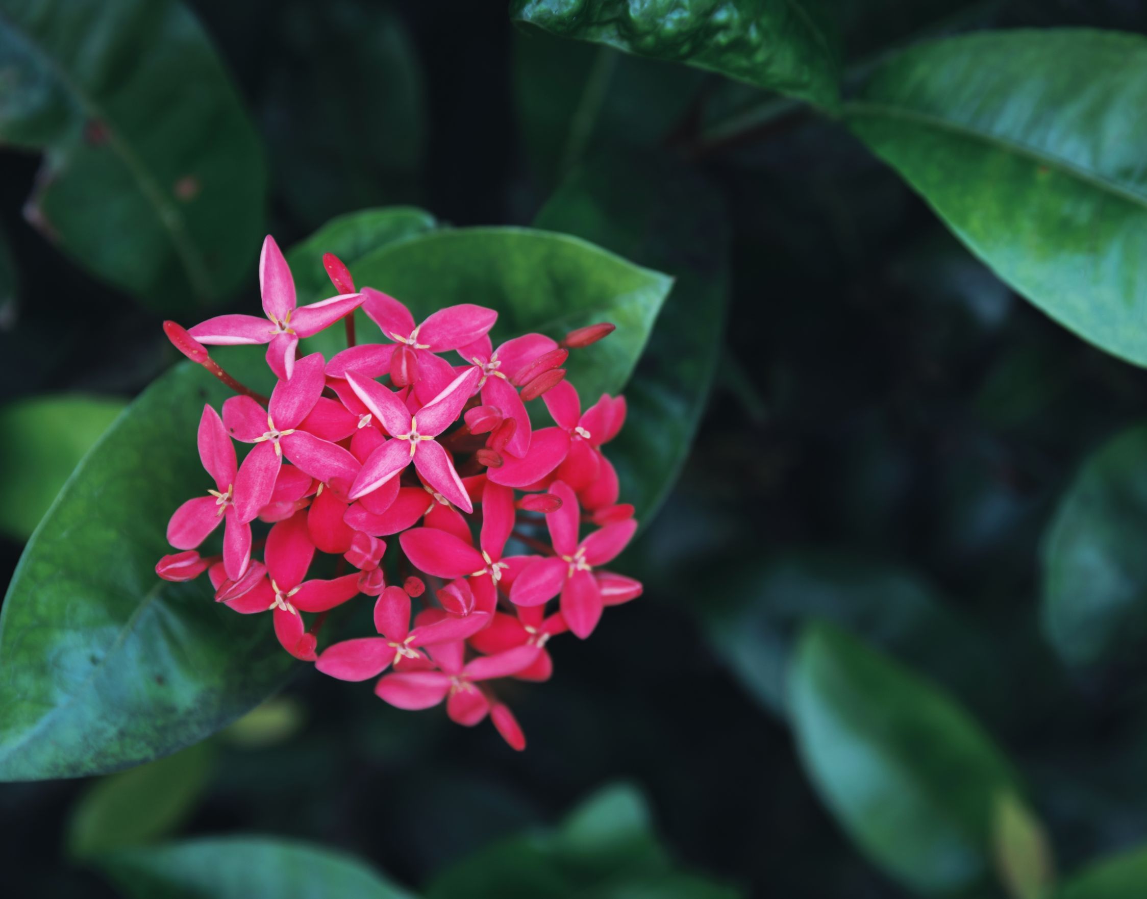 Dr. Amy Crary and Rebeca Viego | Aesthetic Dentistry of Stuart