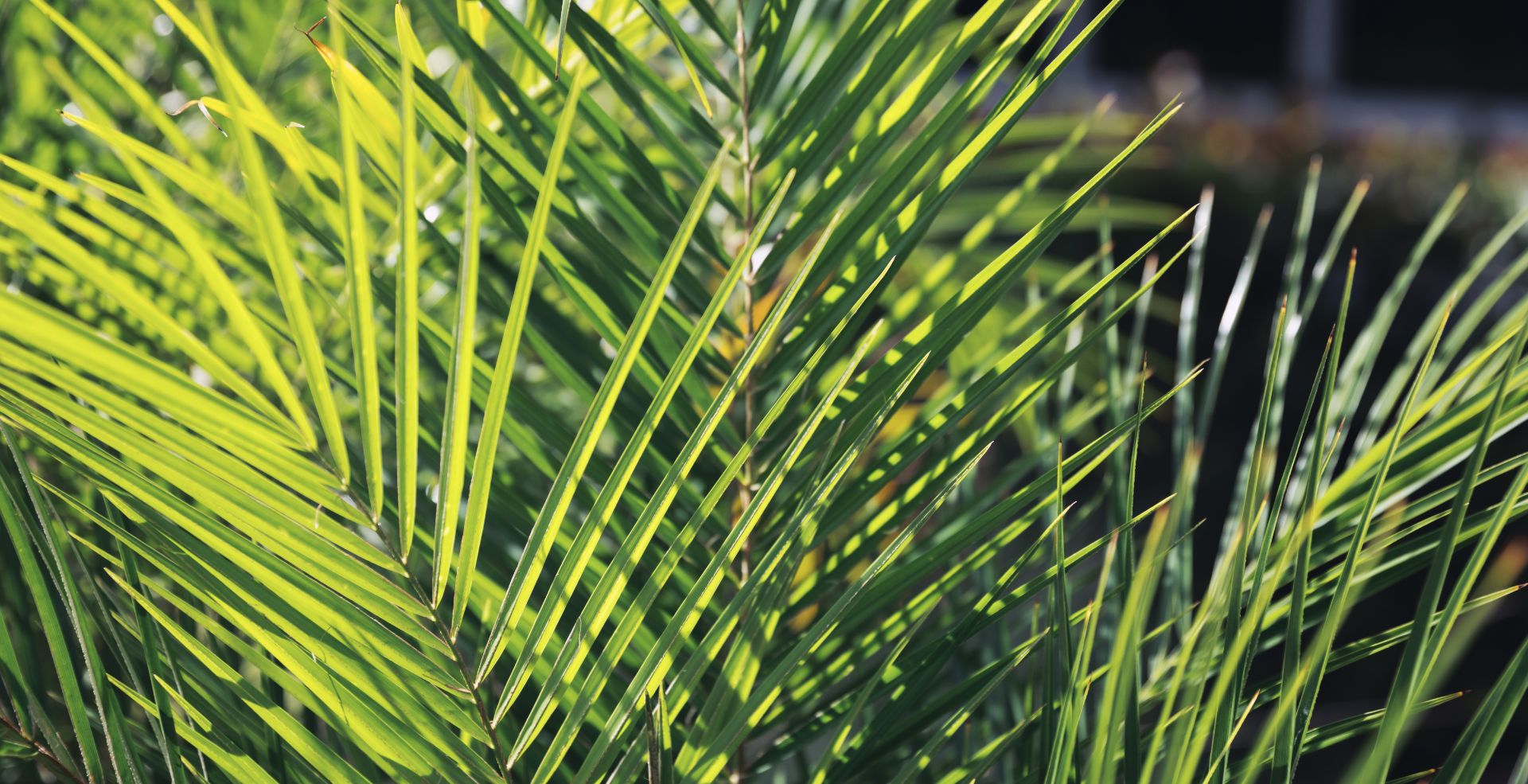 Dr. Amy Crary and Rebeca Viego | Aesthetic Dentistry of Stuart