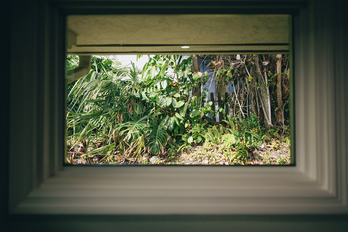 Dr. Amy Crary and Rebeca Viego | Aesthetic Dentistry of Stuart