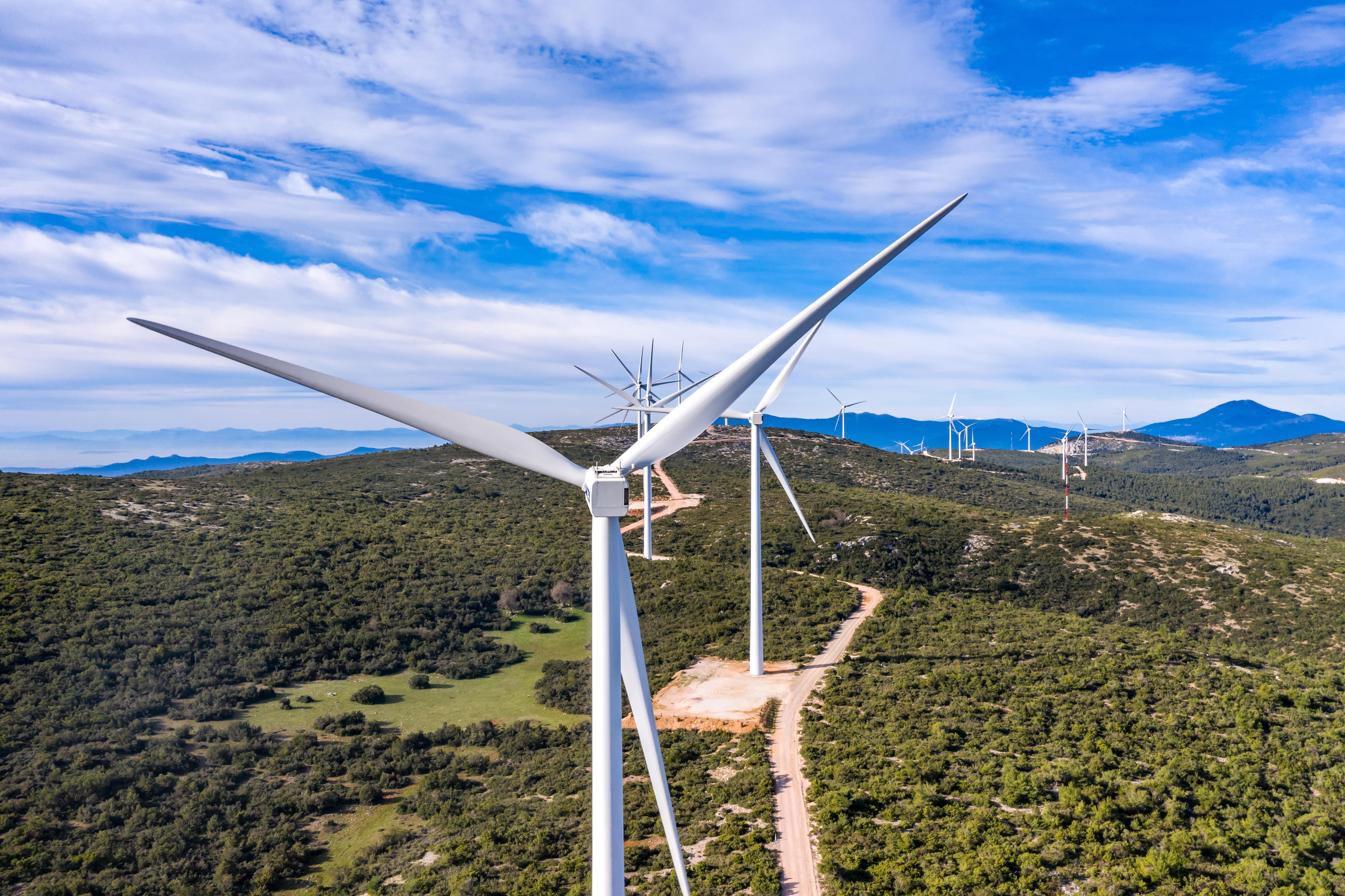 Blog | Government Incentives for Renewable Energy