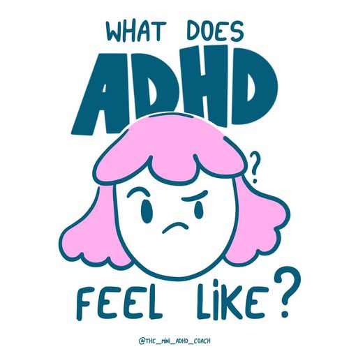Novelty The ADHD Brain Novelty The ADHD Brain