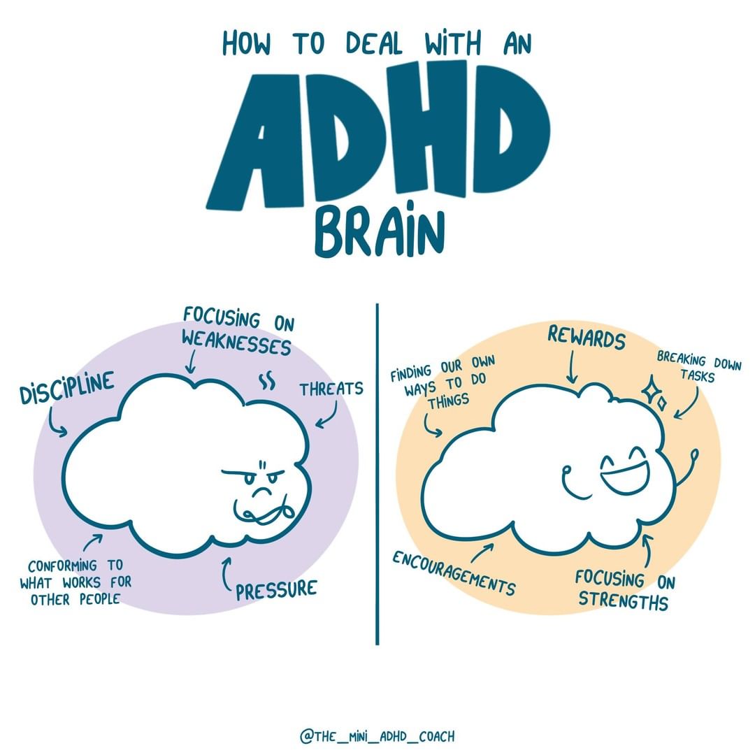 Understanding The ADHD Brain